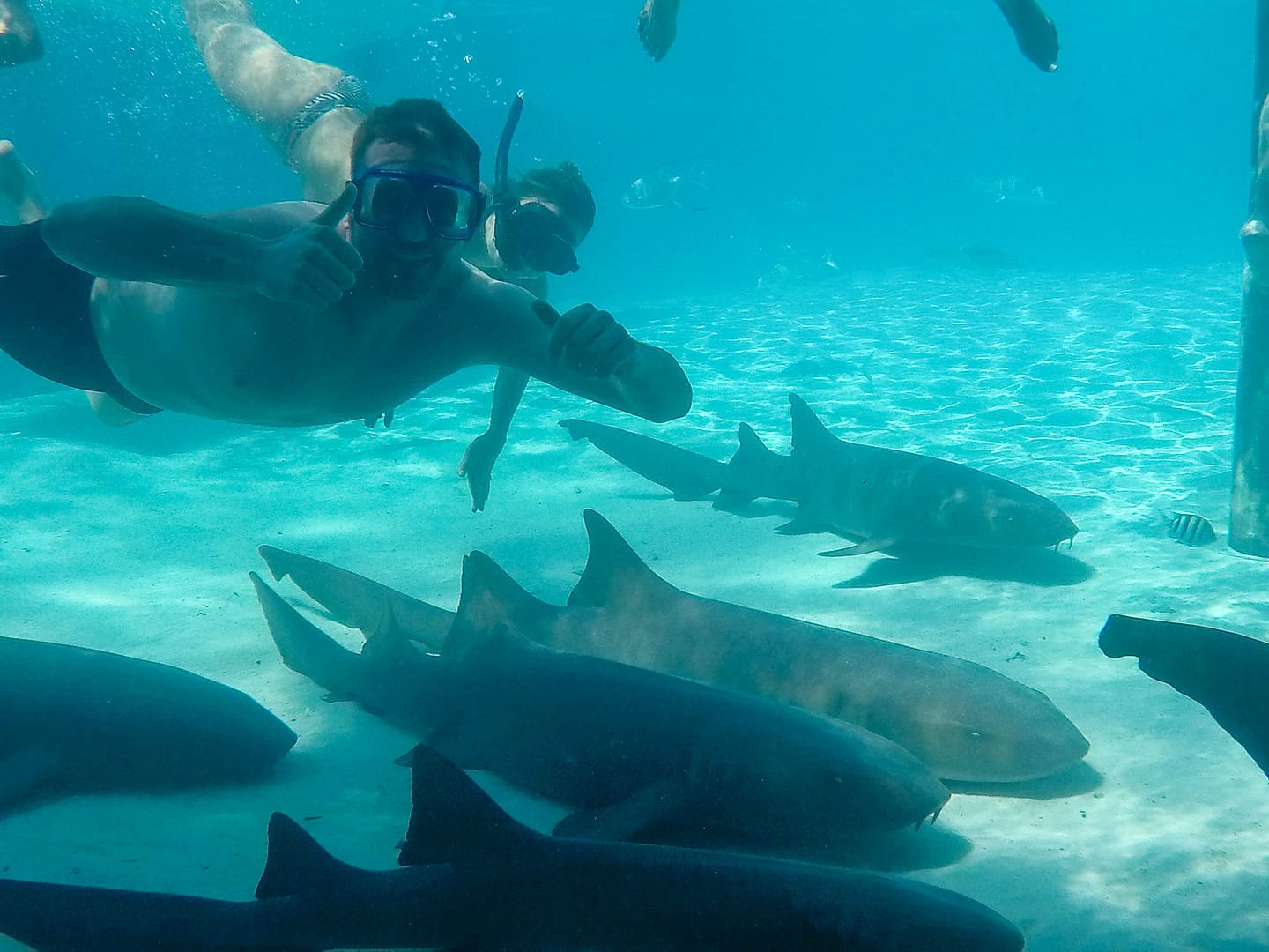 Exuma Bahamas Vacations Trips