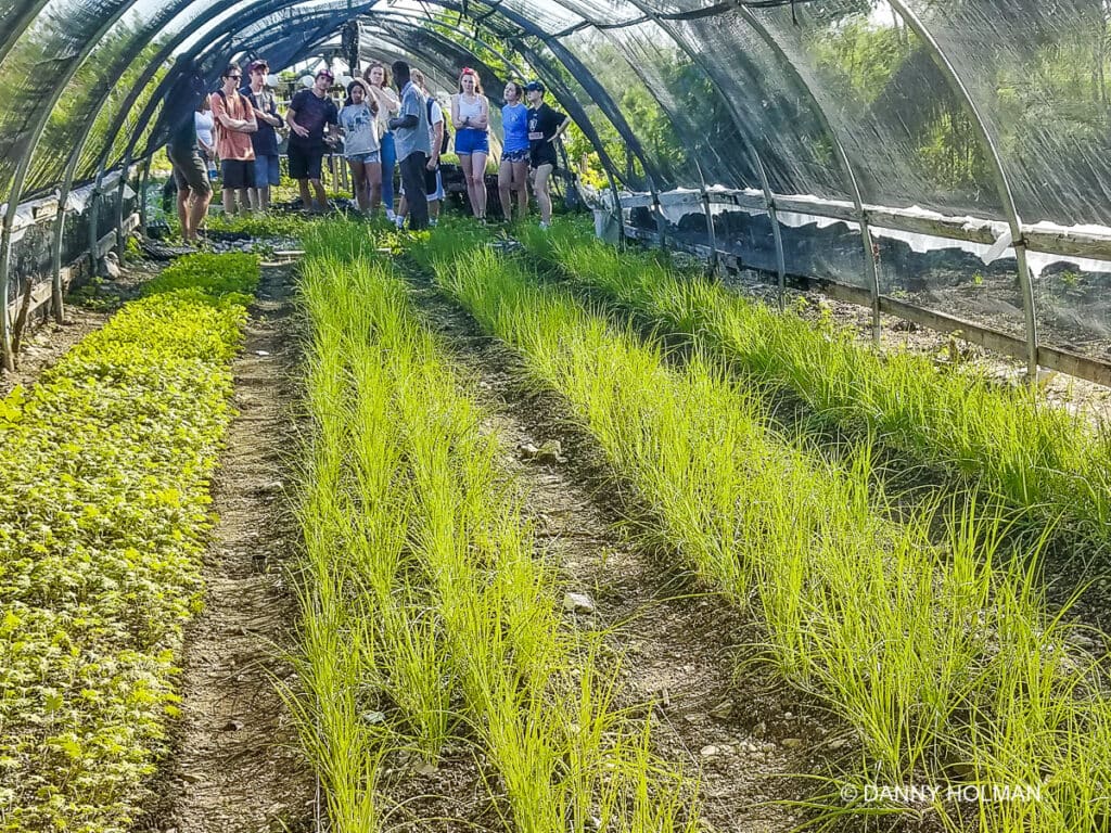 Local Community Outreach Bahamas Caribbean