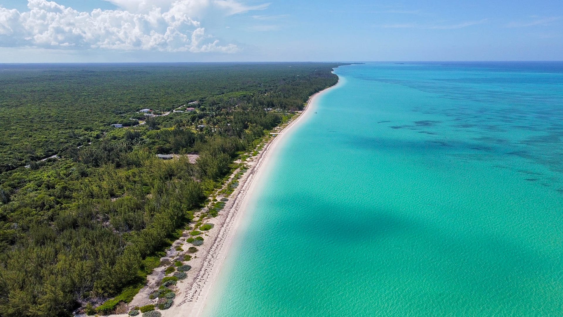 Andros Beach Club Resort South Andros Island Bahamas